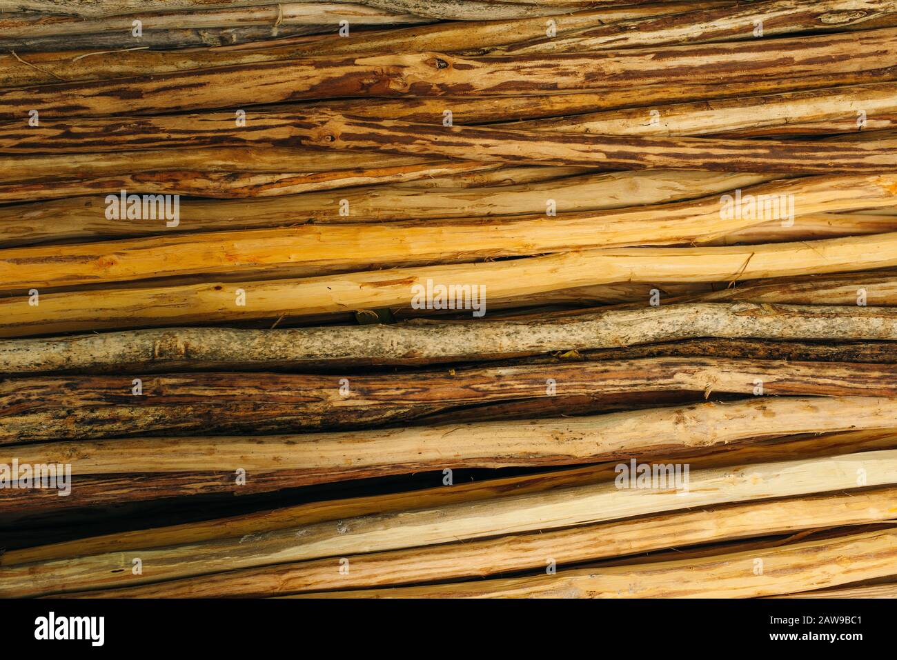 Pine stick texture. Wooden background of pines for design Stock Photo ...