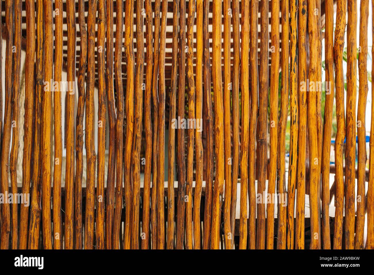 Pine stick texture. Wooden background of pines for design Stock Photo ...