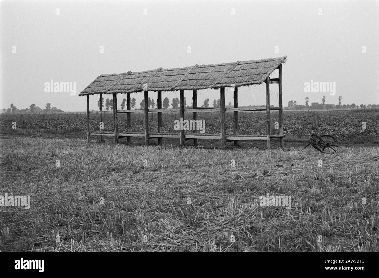 Canopy management Black and White Stock Photos & Images - Alamy