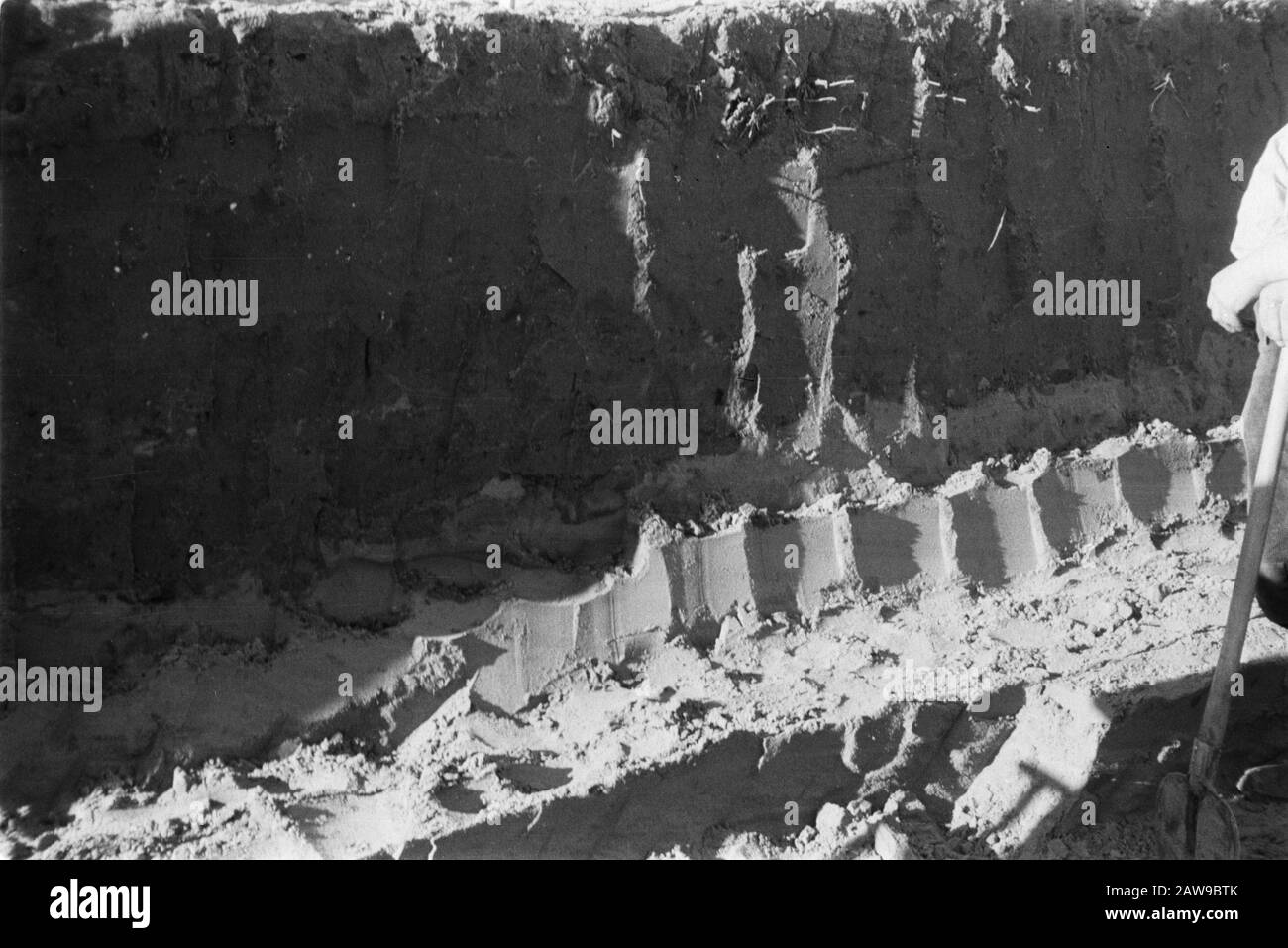 reclamation, soil, leveling, sanding, deep digging, dewatering, bulbs ...