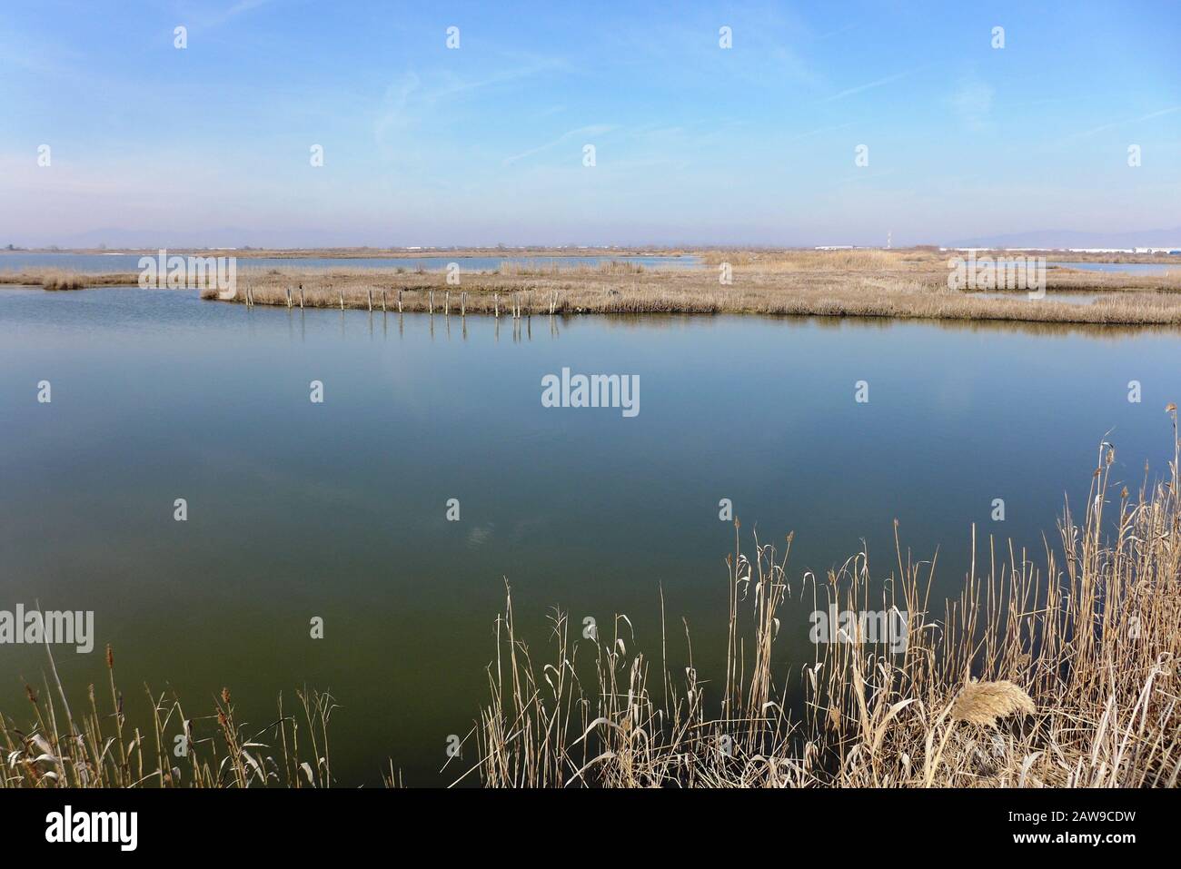 estuary of Axios river, lagoons and moors Stock Photo - Alamy