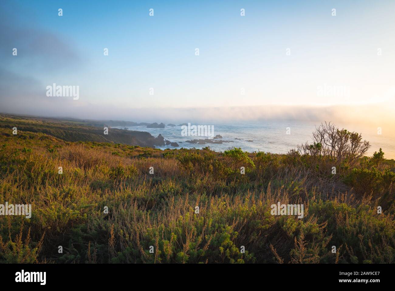 Pacific Valley in Los Padres National Forest. Monterey County, Pacific ...