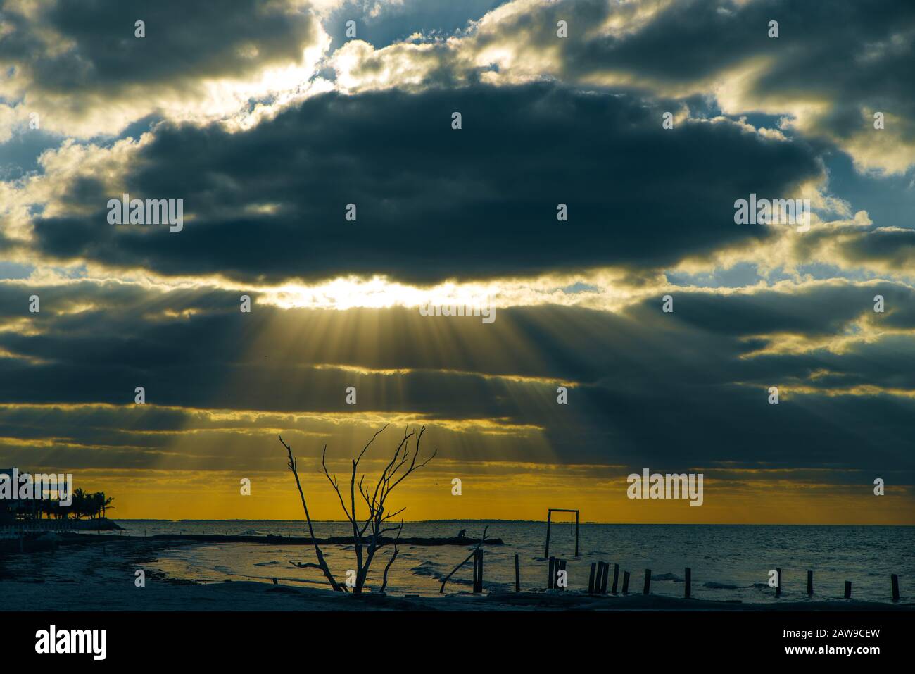 Holbox island sunset beach palm tree tropical in Mexico Stock Photo - Alamy