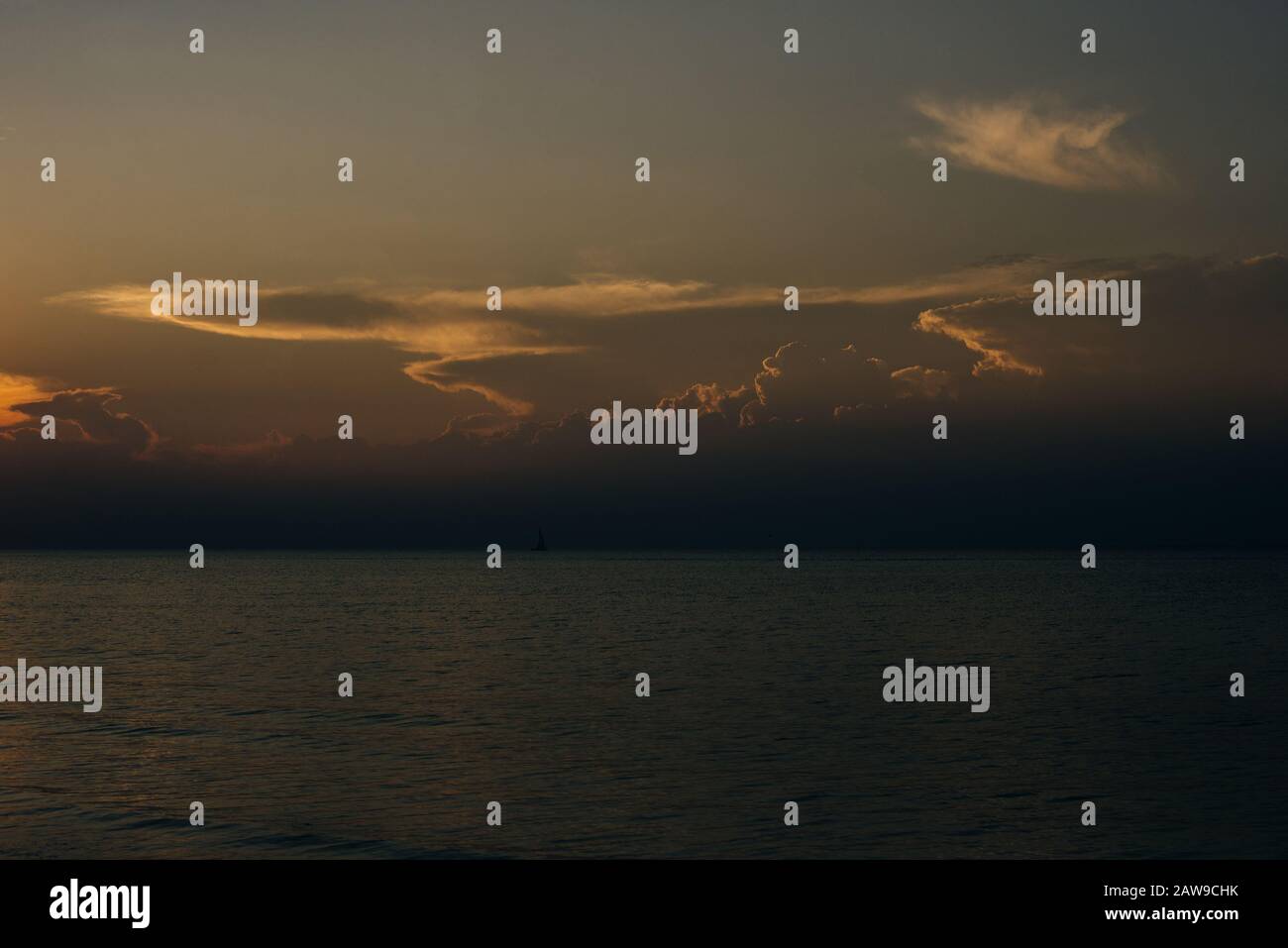 Holbox island sunset beach palm tree tropical in Mexico Stock Photo - Alamy