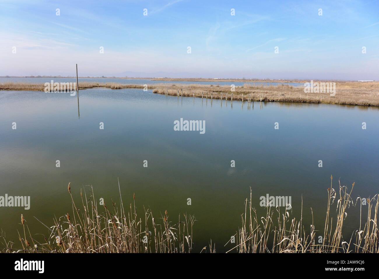 estuary of Axios river, lagoons and moors Stock Photo - Alamy