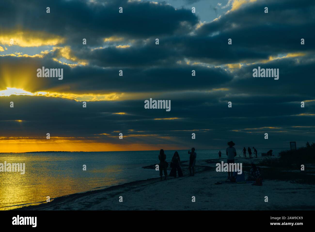 Holbox island sunset beach palm tree tropical in Mexico Stock Photo - Alamy