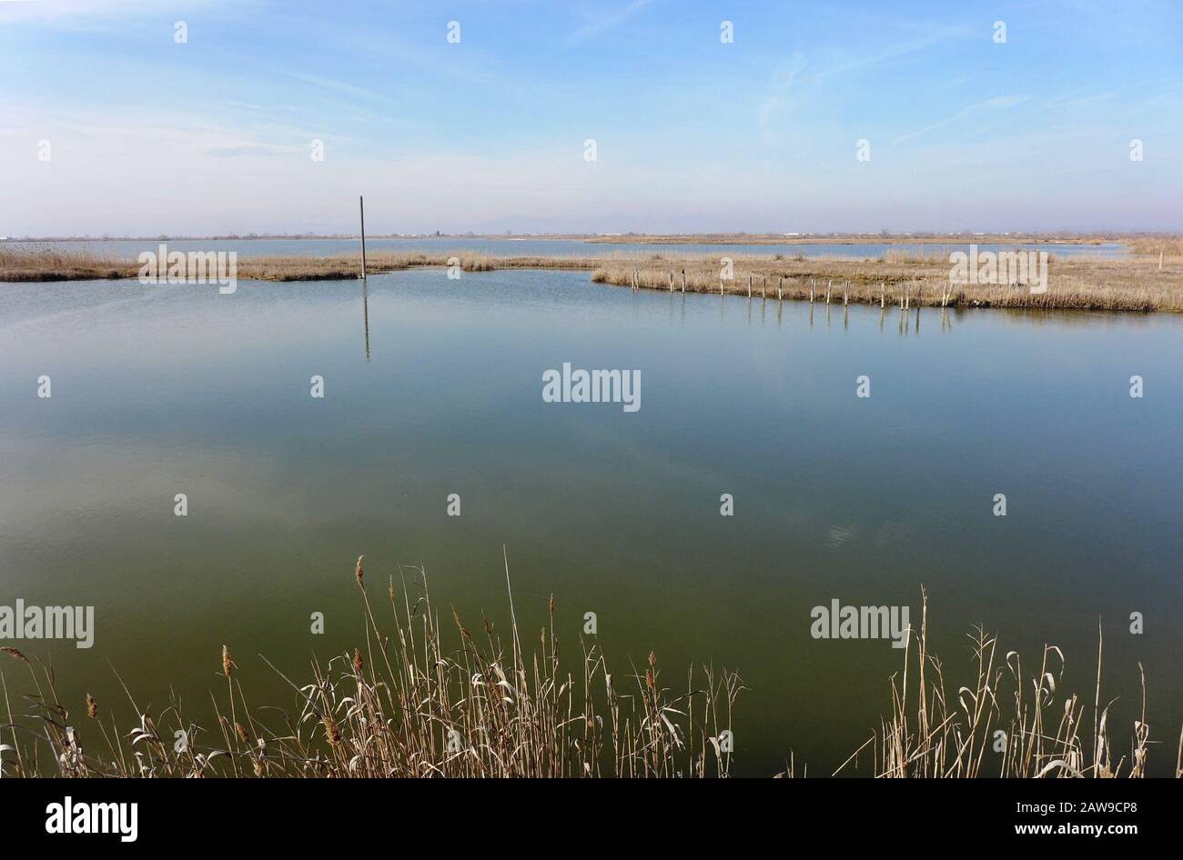estuary of Axios river, lagoons and moors Stock Photo - Alamy
