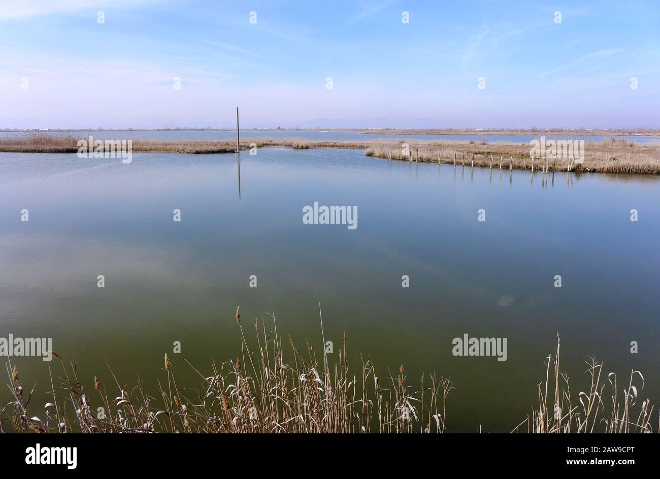 estuary of Axios river, lagoons and moors Stock Photo - Alamy