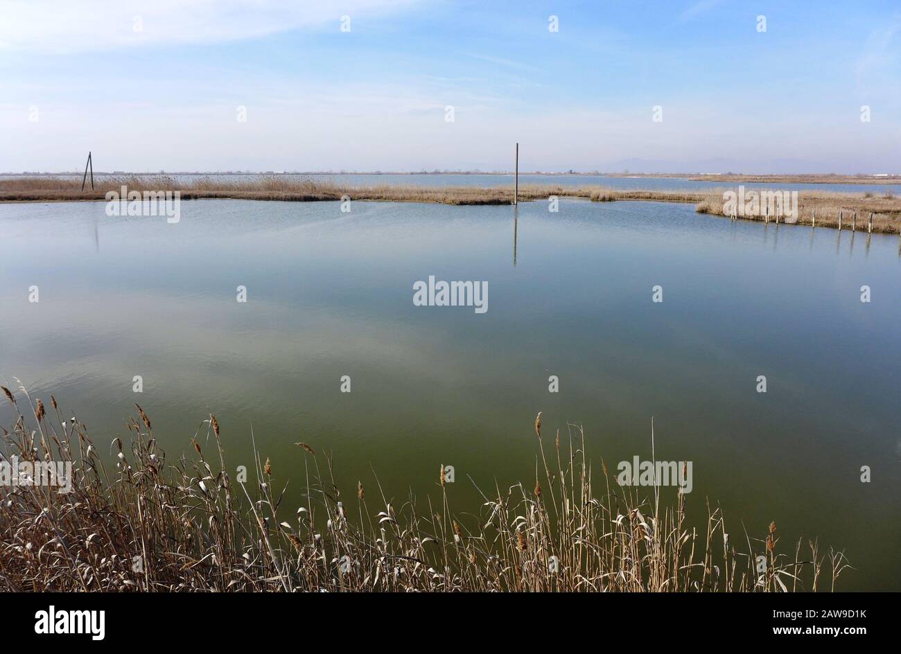 estuary of Axios river, lagoons and moors Stock Photo - Alamy