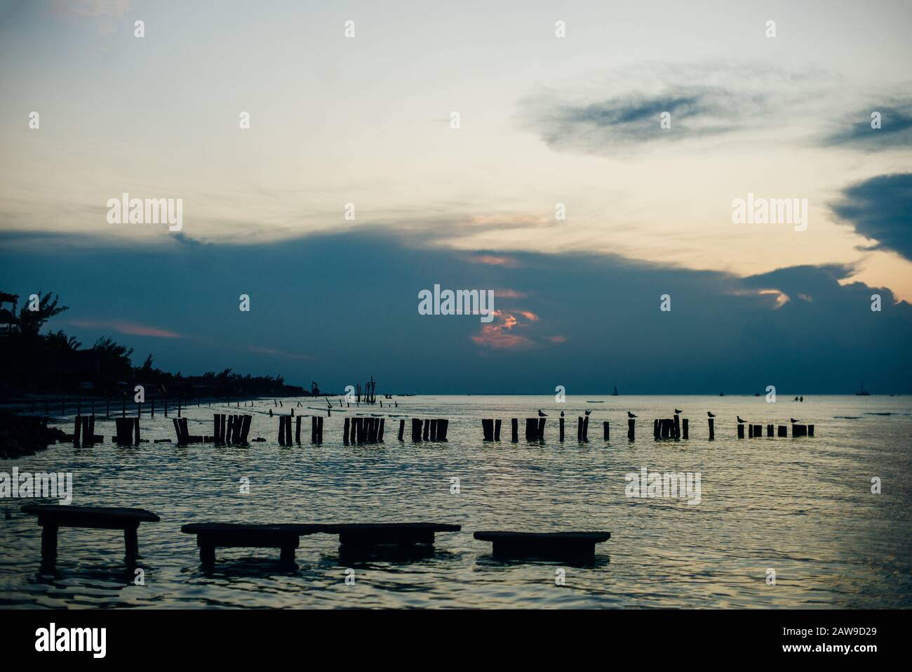 Holbox island sunset beach palm tree tropical in Mexico Stock Photo - Alamy