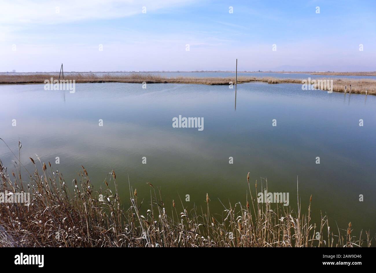 estuary of Axios river, lagoons and moors Stock Photo - Alamy