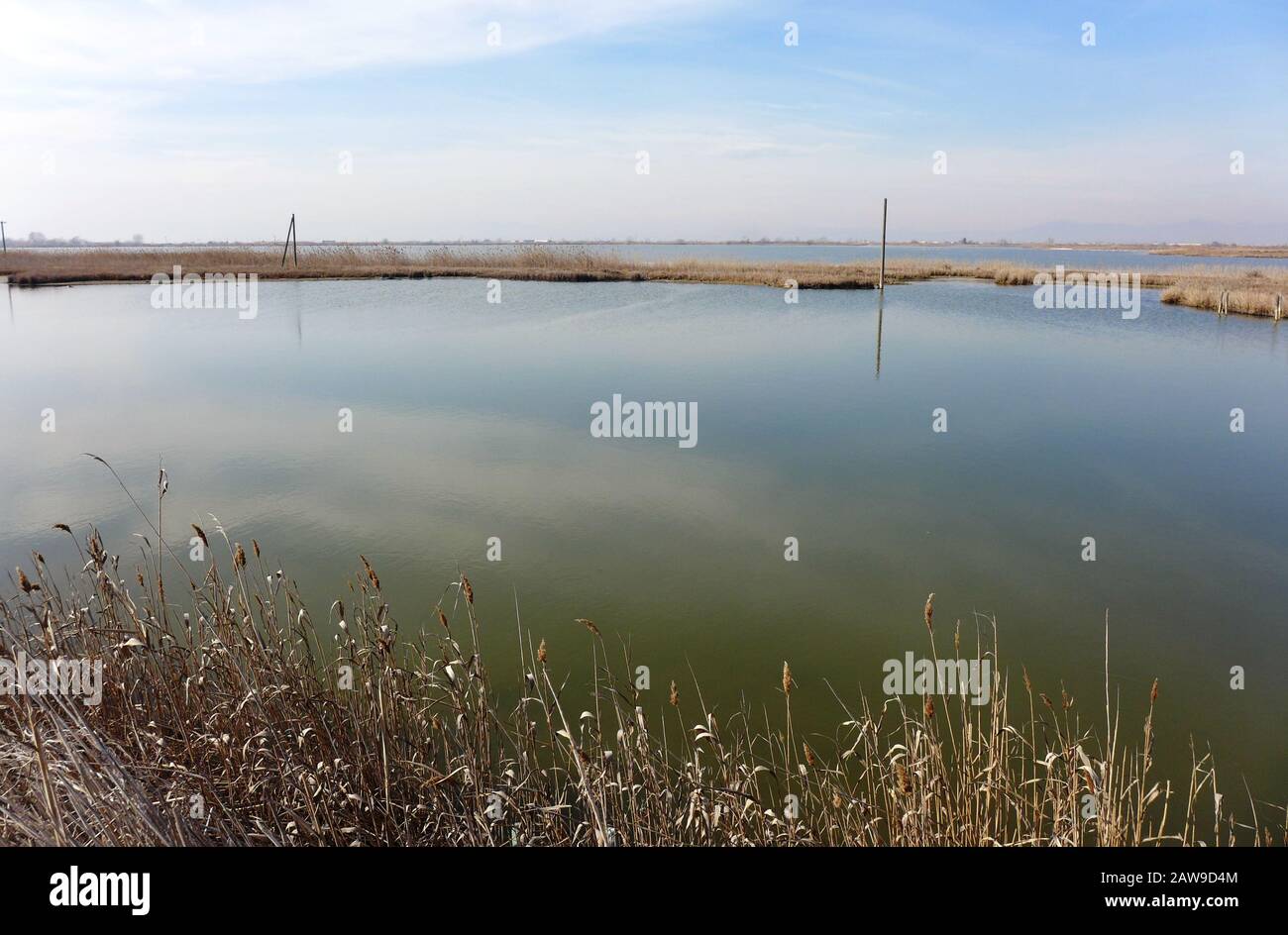 estuary of Axios river, lagoons and moors Stock Photo - Alamy