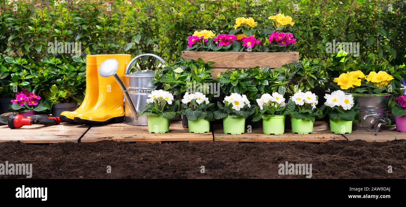 Gardening Tools Set And Flowers In Sunny Garden Stock Photo - Alamy