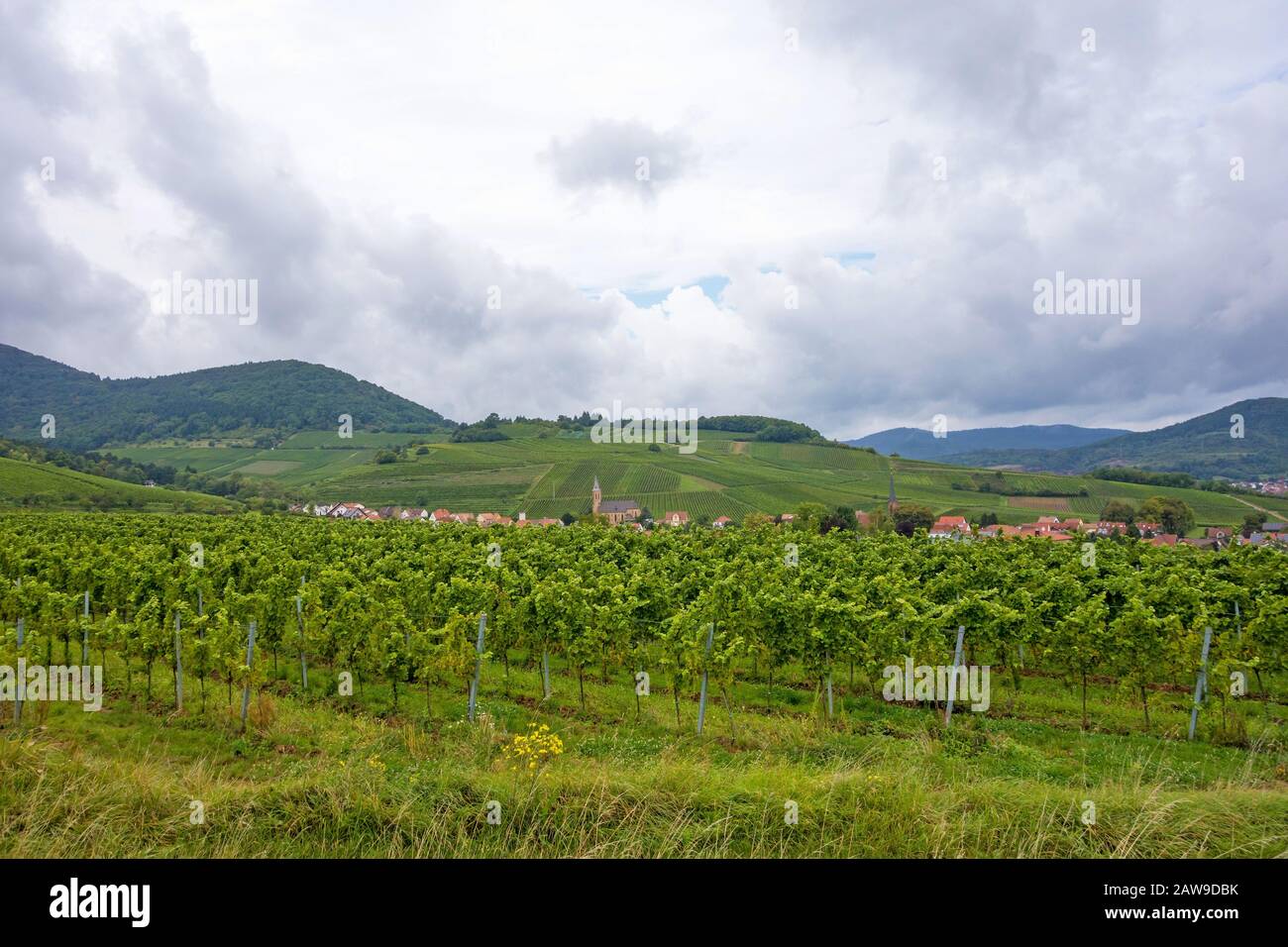 Neustadt at the german wine route hi-res stock photography and images ...