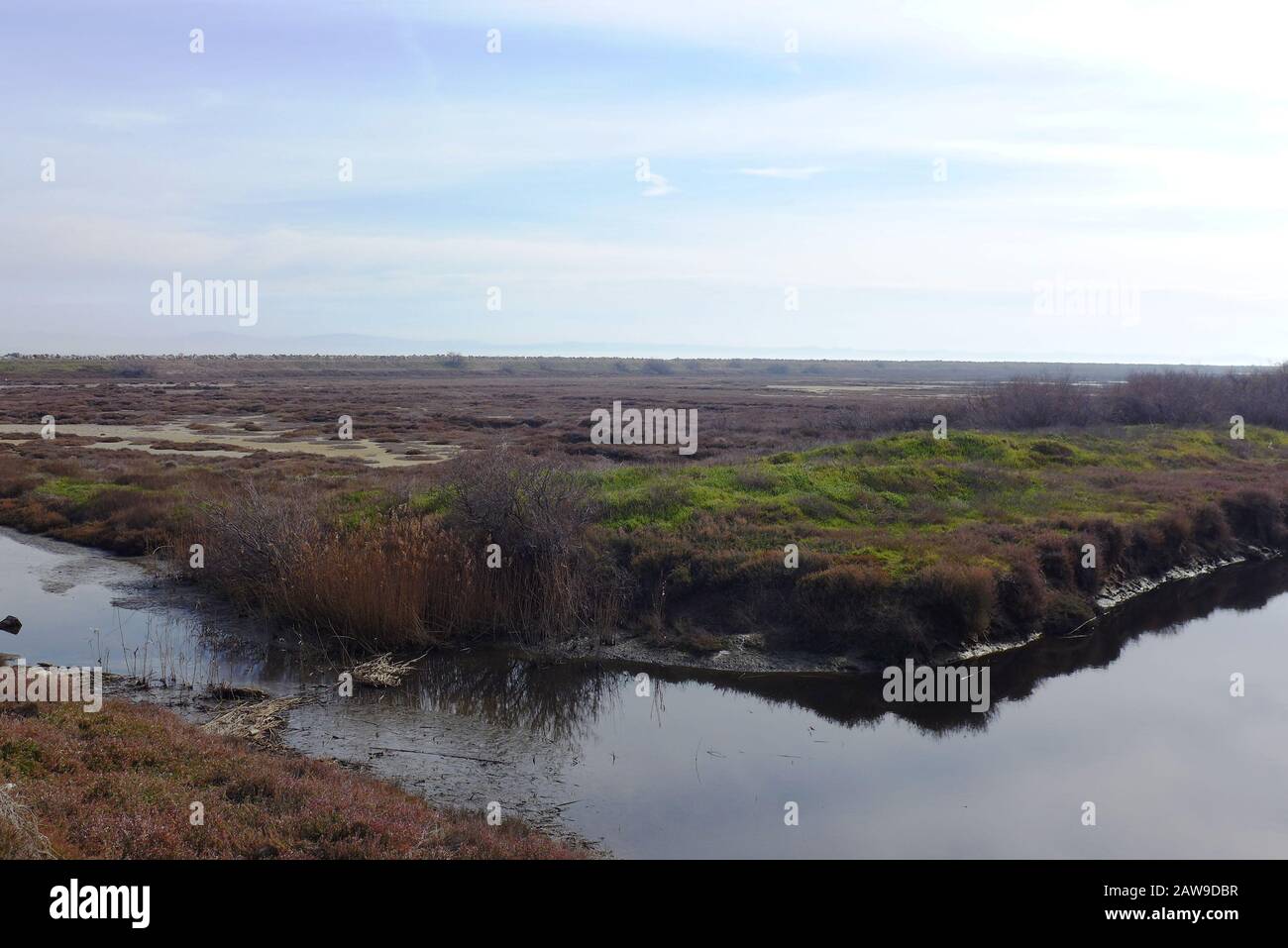 estuary of Axios river, lagoons and moors Stock Photo - Alamy