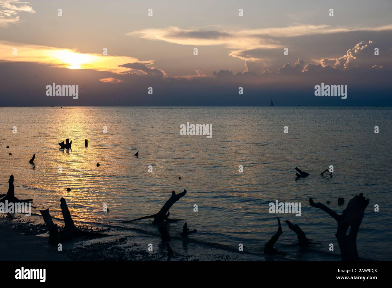 Holbox island sunset beach palm tree tropical in Mexico Stock Photo - Alamy