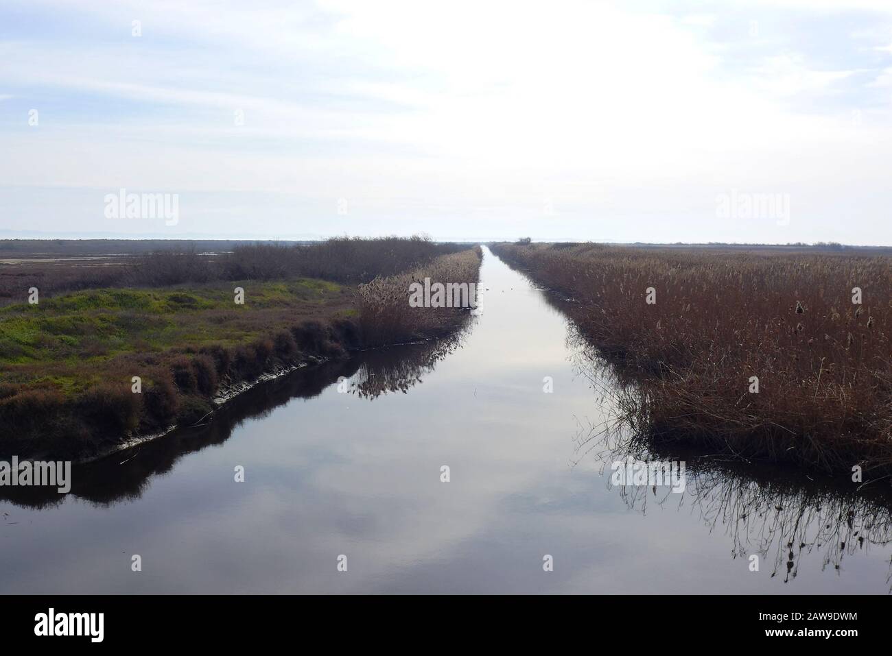 estuary of Axios river, lagoons and moors Stock Photo - Alamy