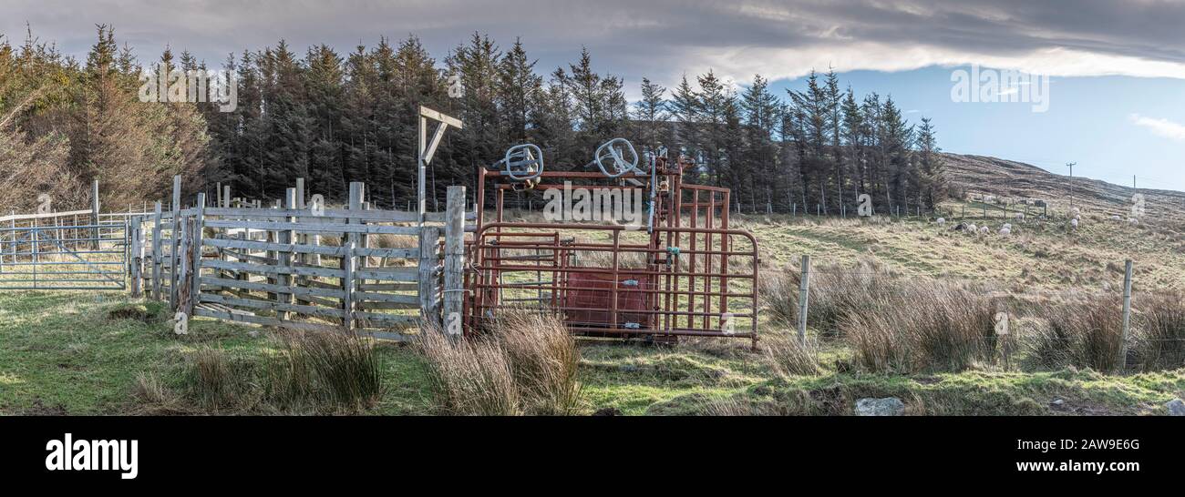 Farm animal inspection paddock Stock Photo - Alamy