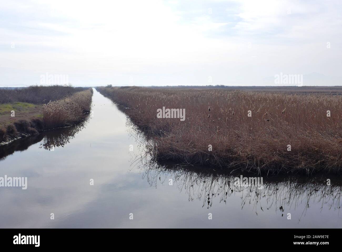 estuary of Axios river, lagoons and moors Stock Photo - Alamy