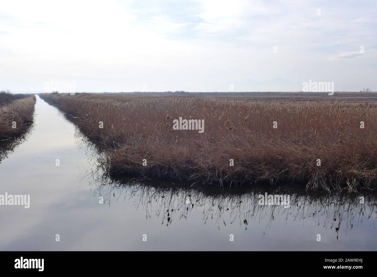 estuary of Axios river, lagoons and moors Stock Photo - Alamy