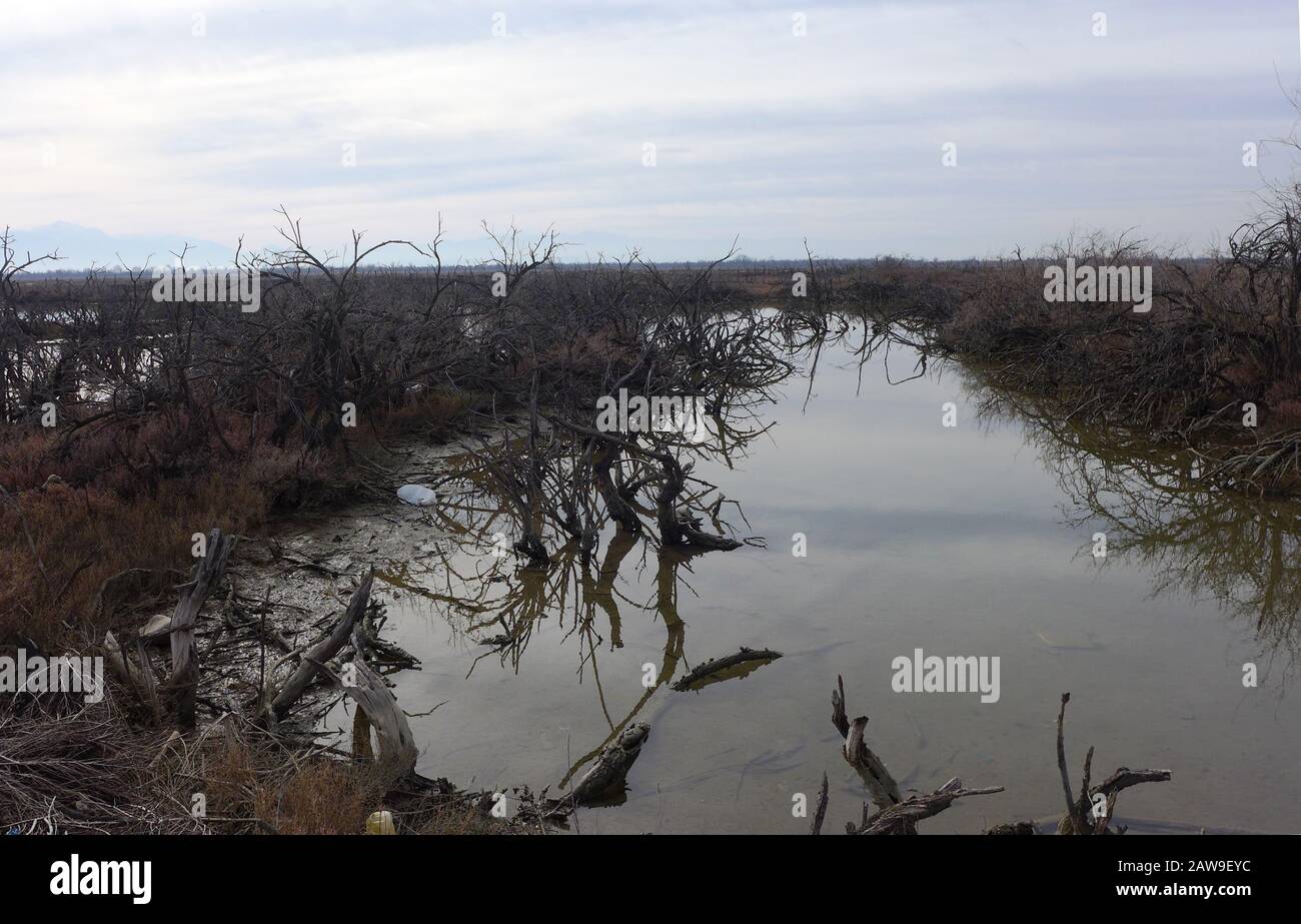 estuary of Axios river, lagoons and moors Stock Photo - Alamy