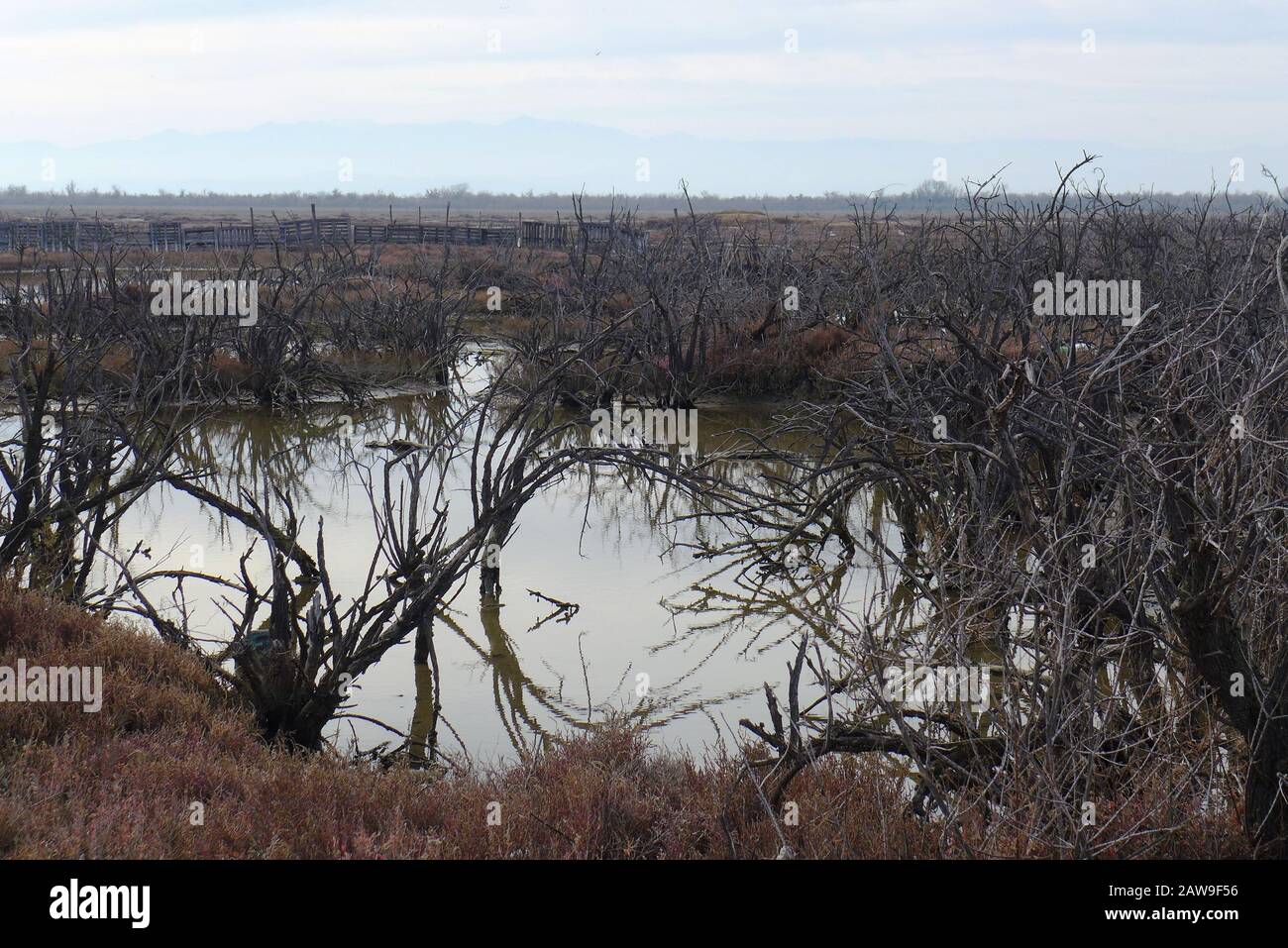 estuary of Axios river, lagoons and moors Stock Photo - Alamy