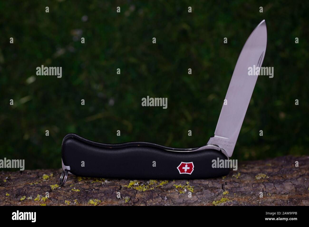 Swiss knife 2020 hi-res stock photography and images - Alamy