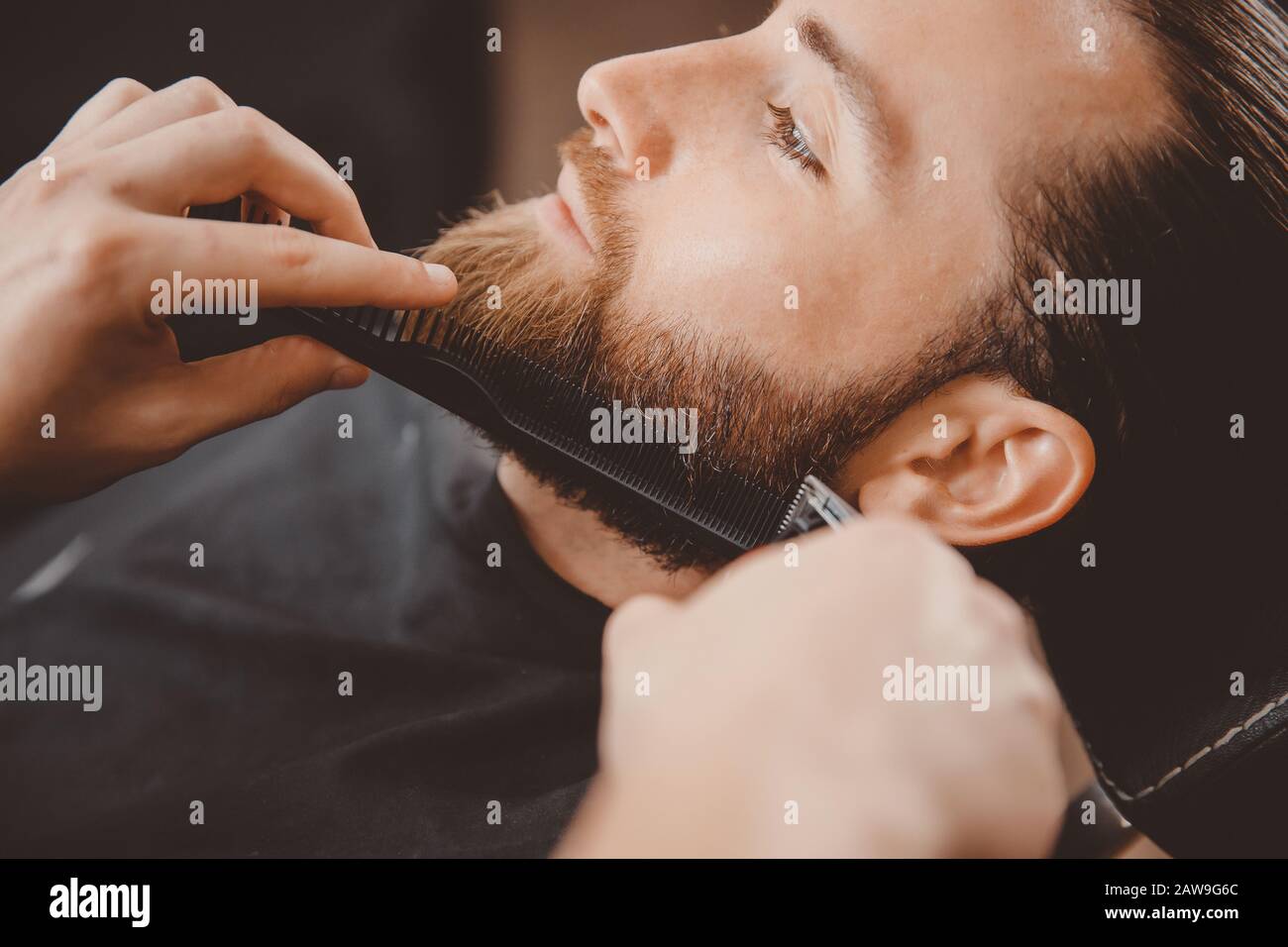 Beard grooming process close hi-res stock photography and images - Alamy