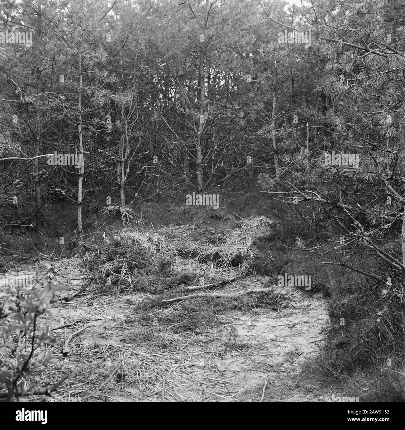 Cave 11 Black and White Stock Photos & Images - Alamy