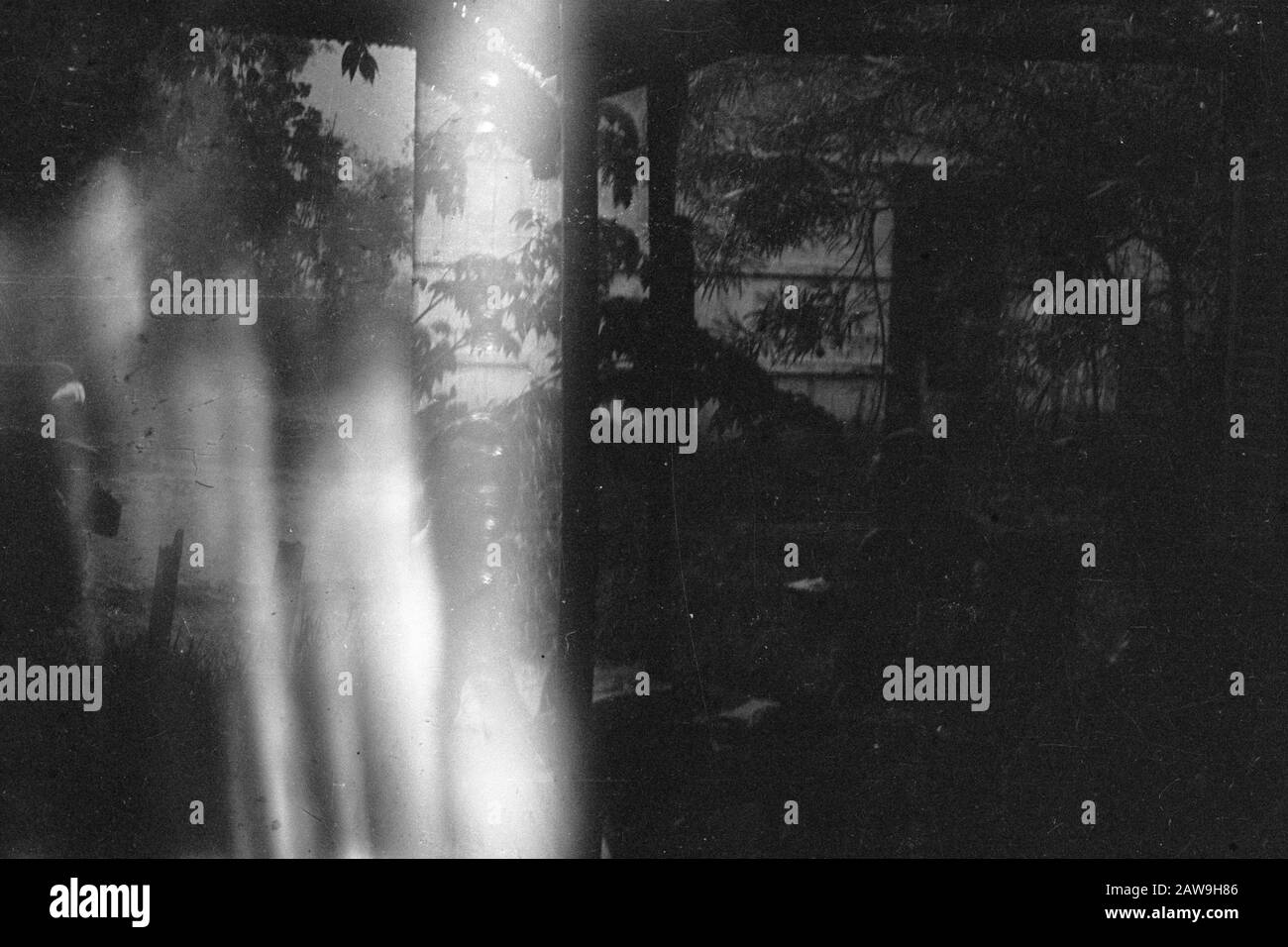 [unsuccessful shot] Date: 01/01/1947 Location: Indonesia Dutch East ...