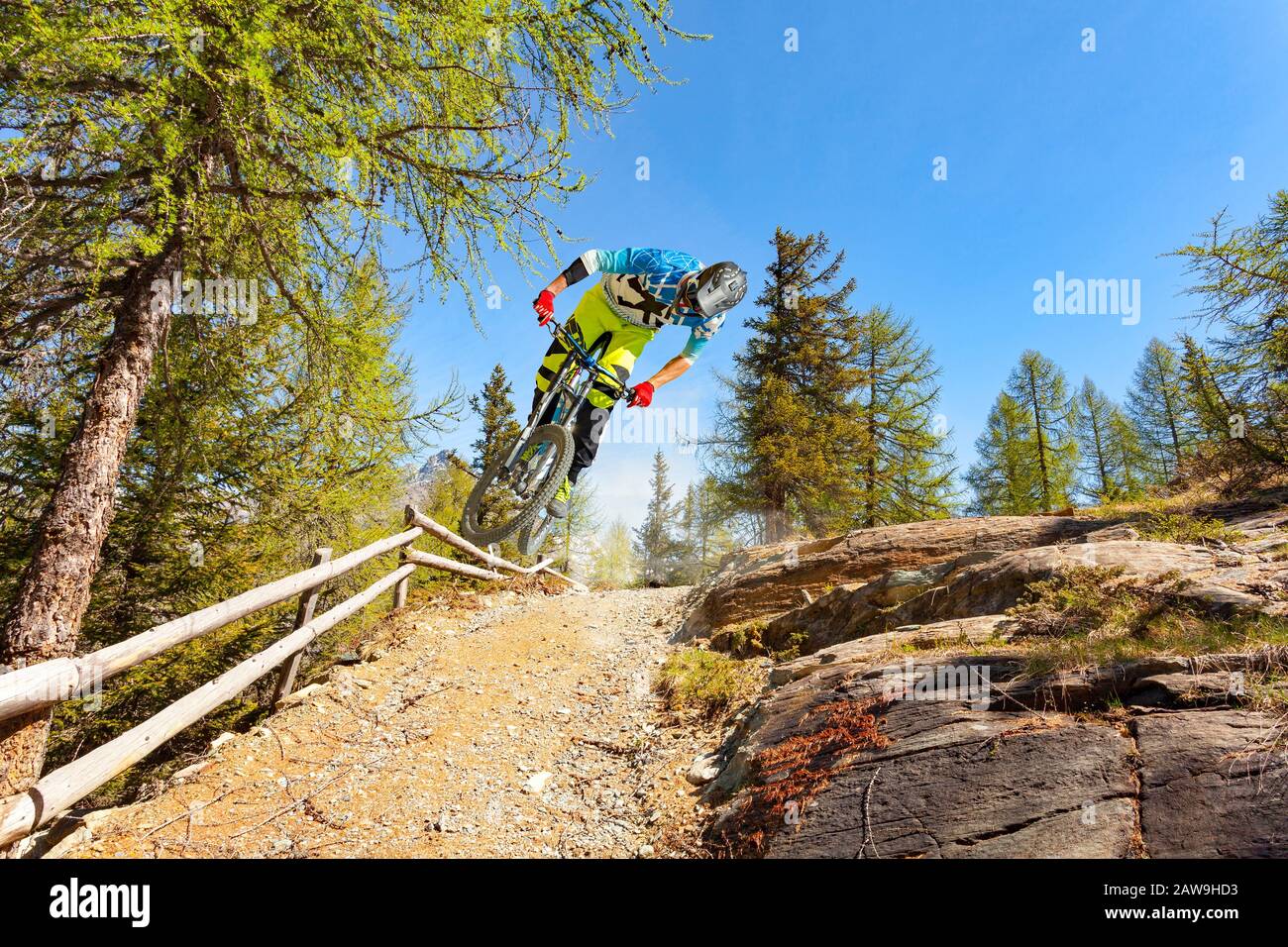 biker mtb downhill in the alps Stock Photo - Alamy