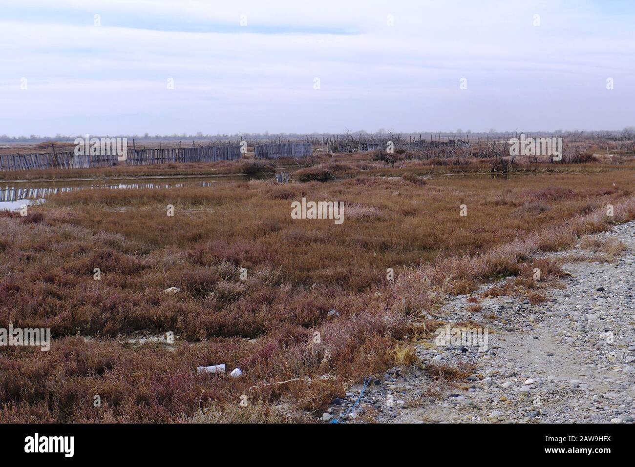 estuary of Axios river, lagoons and moors Stock Photo - Alamy