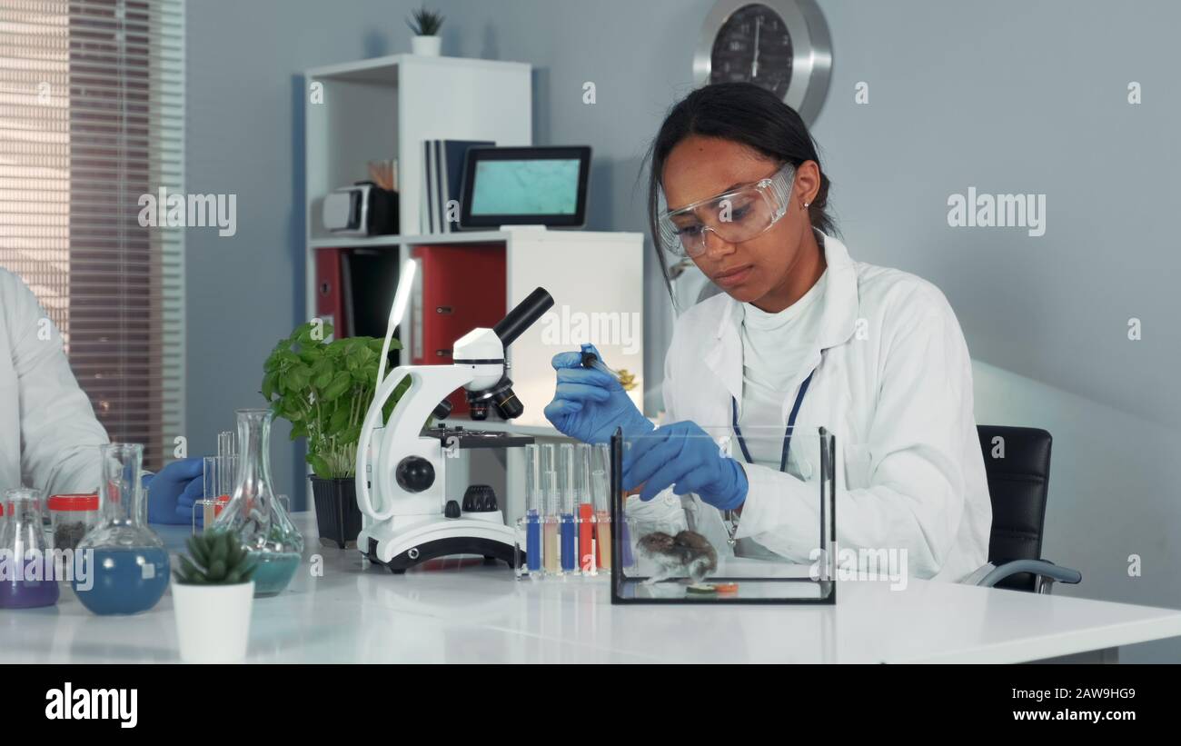 Observing animal scientist hi-res stock photography and images - Alamy