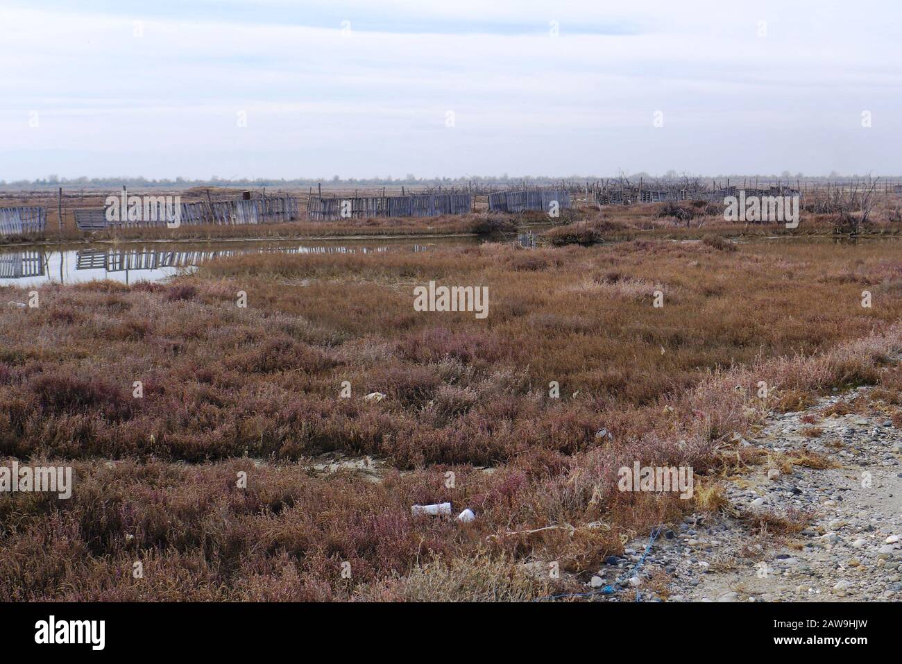 estuary of Axios river, lagoons and moors Stock Photo - Alamy