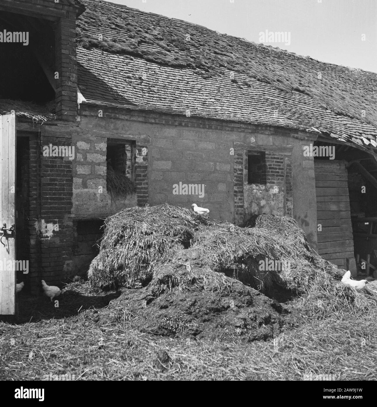 Ruined farm Black and White Stock Photos & Images - Alamy