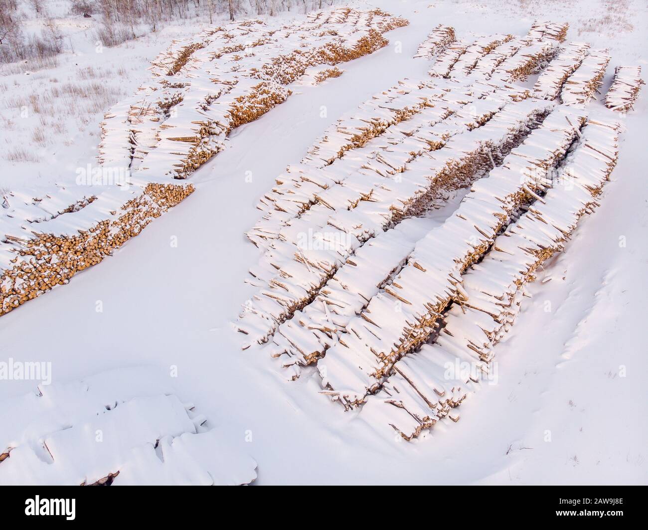 Sawmill, log storage timber, winter harvesting of wood Stock Photo - Alamy