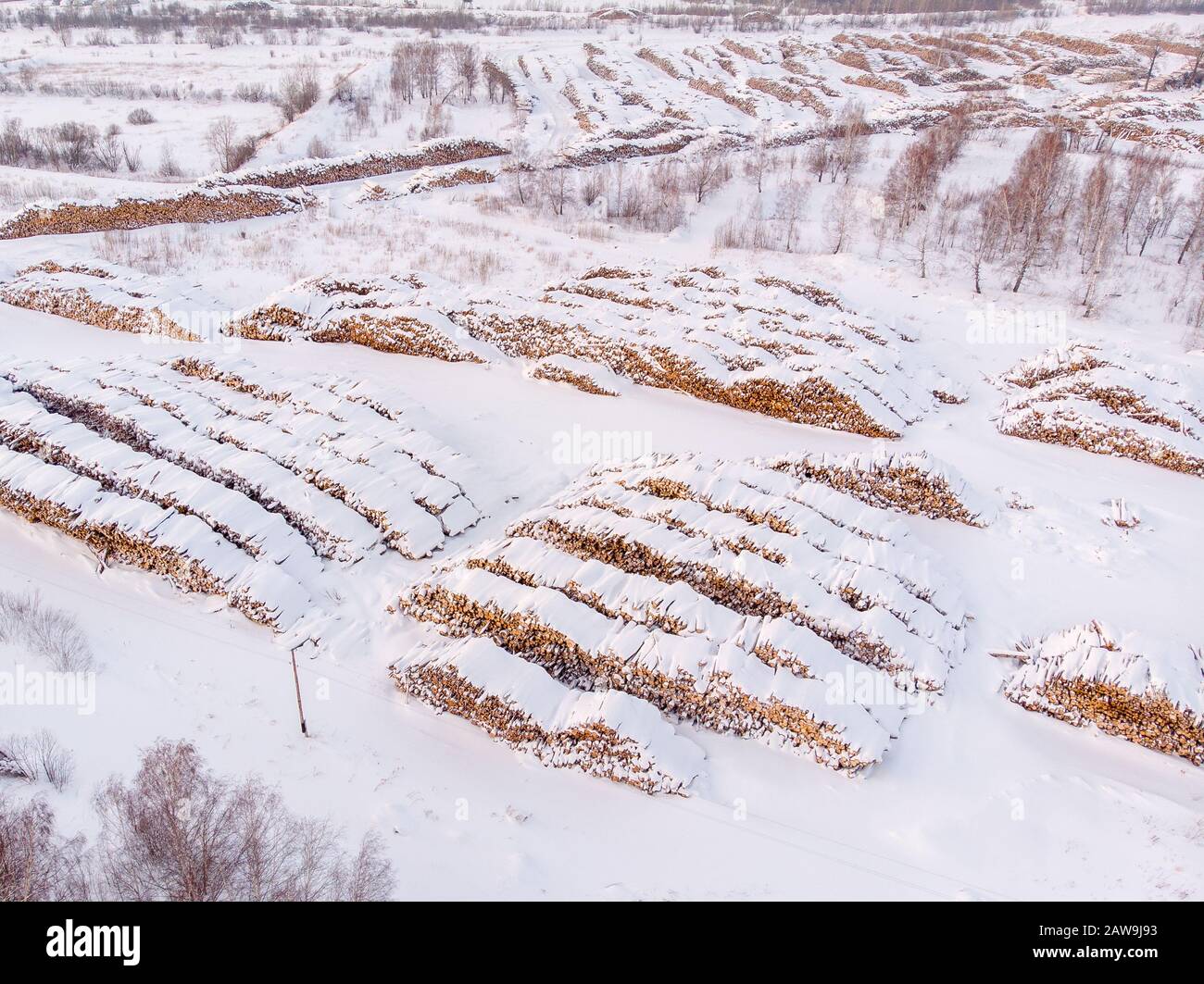 Industrial photo, storage of wooden logs under the snow at a sawmill ...