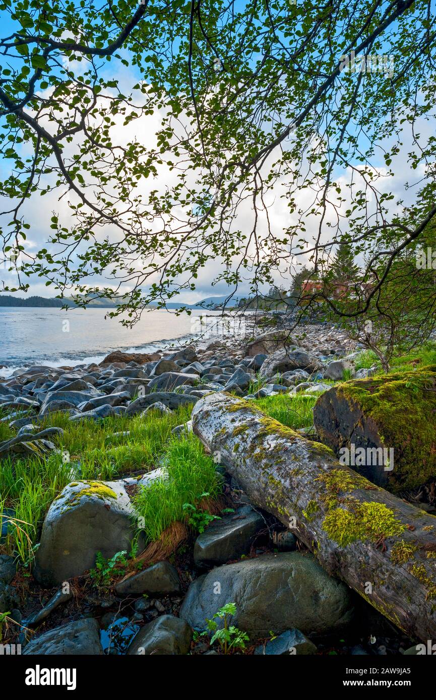 The scenic Sitka Sound and shoreline in spring near Sitka, Alaska, USA ...