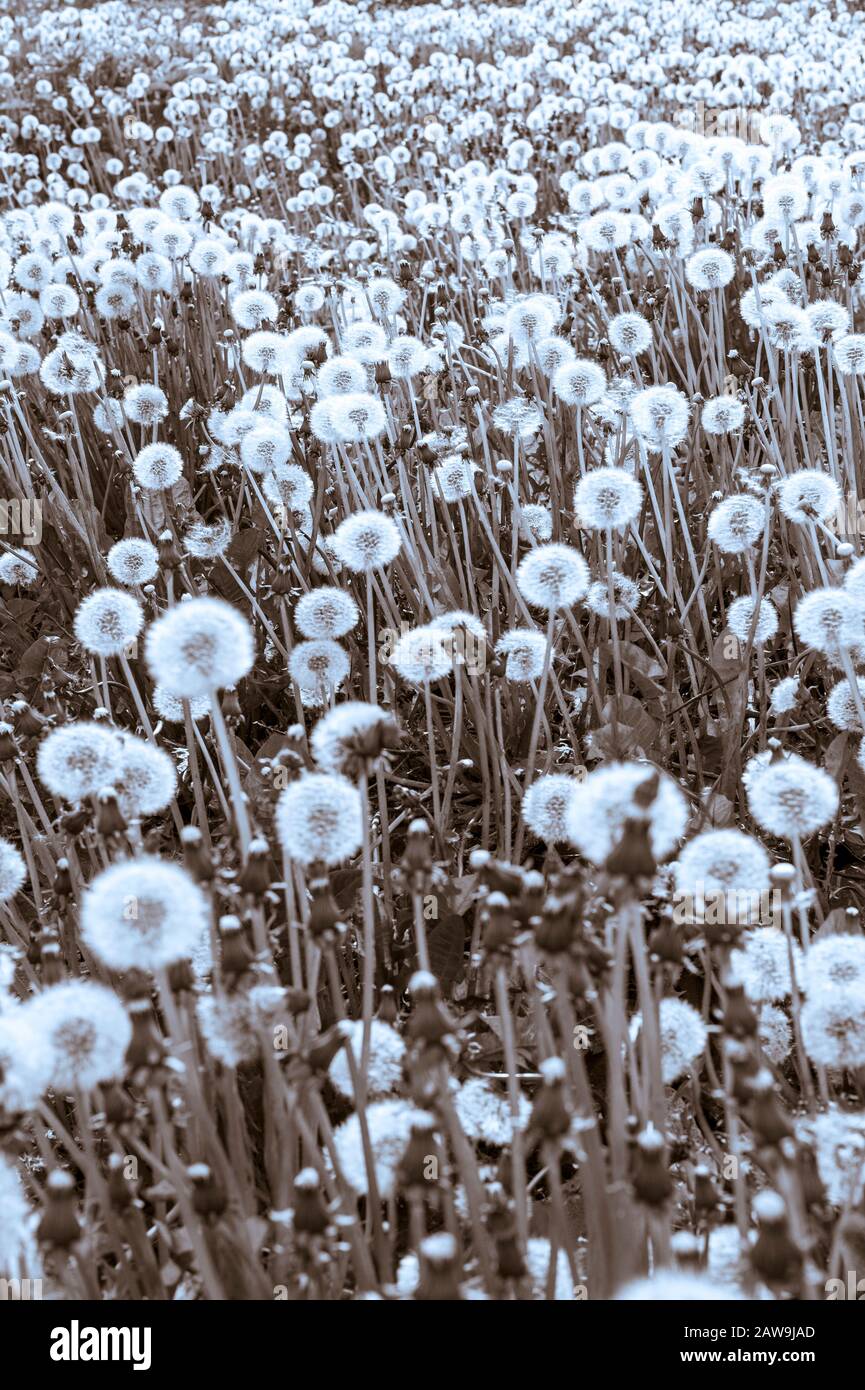 Number field hi-res stock photography and images - Alamy