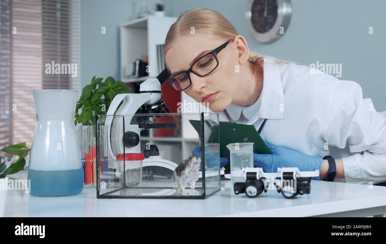 Female research scientist learning animal behavior during the ...