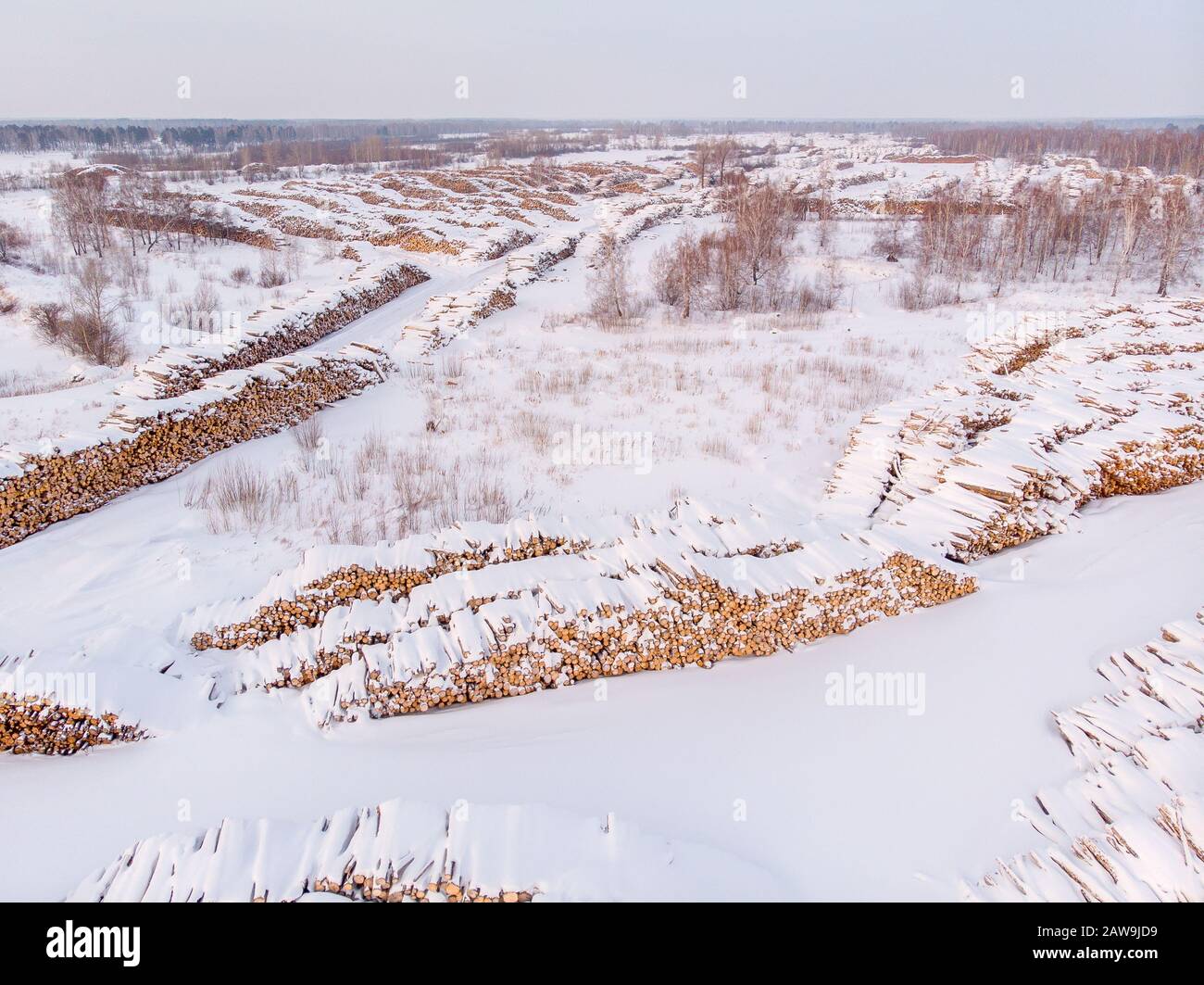 Log storage forest, winter logging, sawmill, top view, aerial photo ...