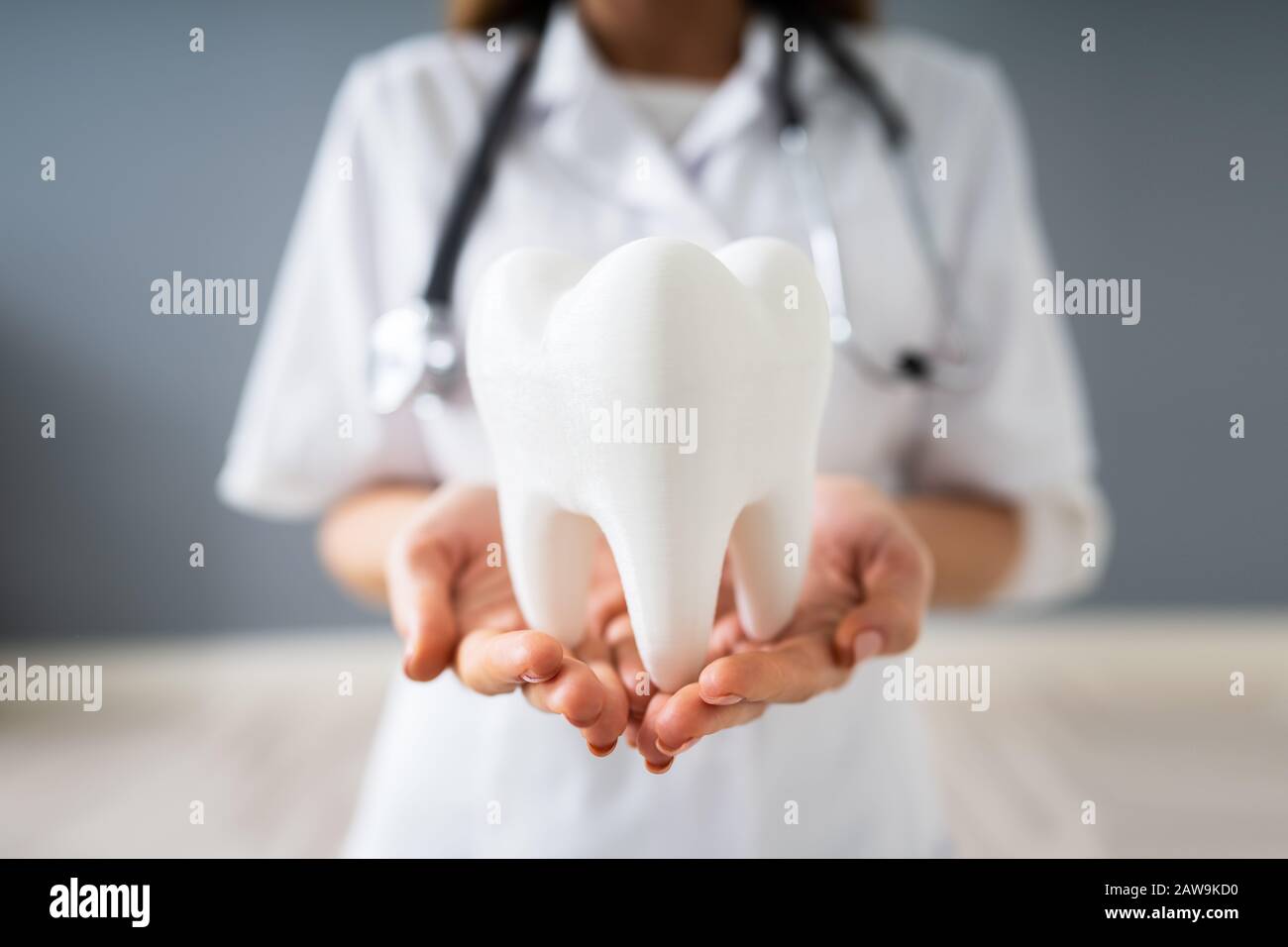 Photo Of Doctor Holding Tooth Model In Hands Stock Photo - Alamy