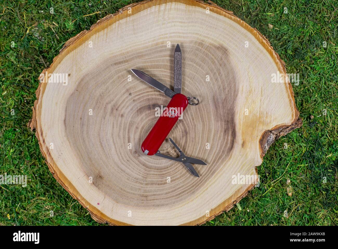 Swiss knife 2020 hi-res stock photography and images - Alamy