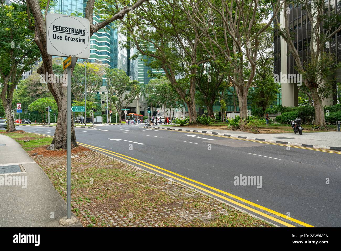 Singapore, January 2020. a sign with an invitation to cross the road at ...