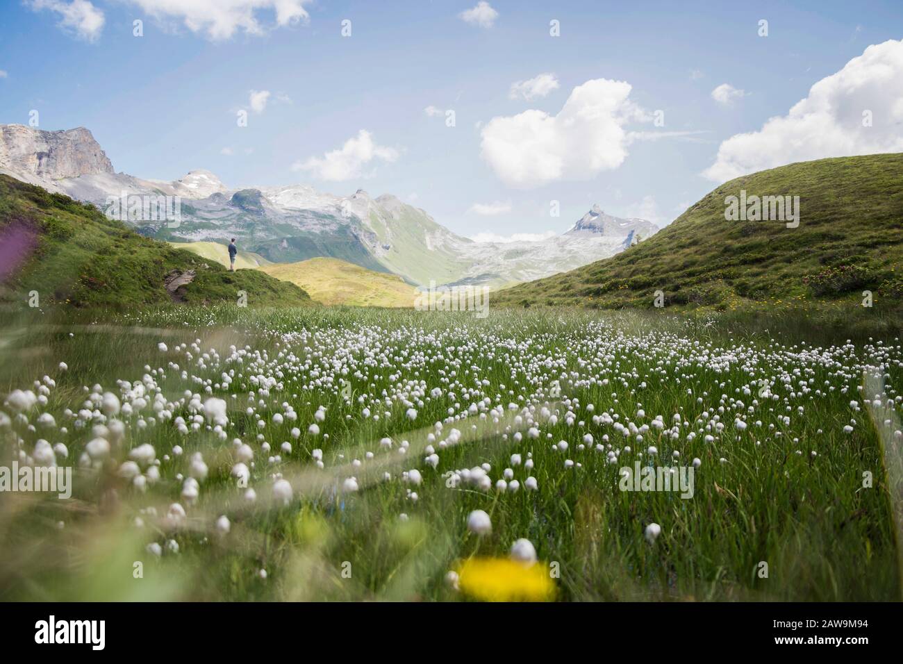 Swiss hills hi-res stock photography and images - Alamy