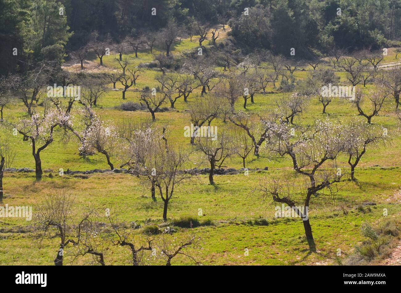 Agroecosystem hi-res stock photography and images - Alamy