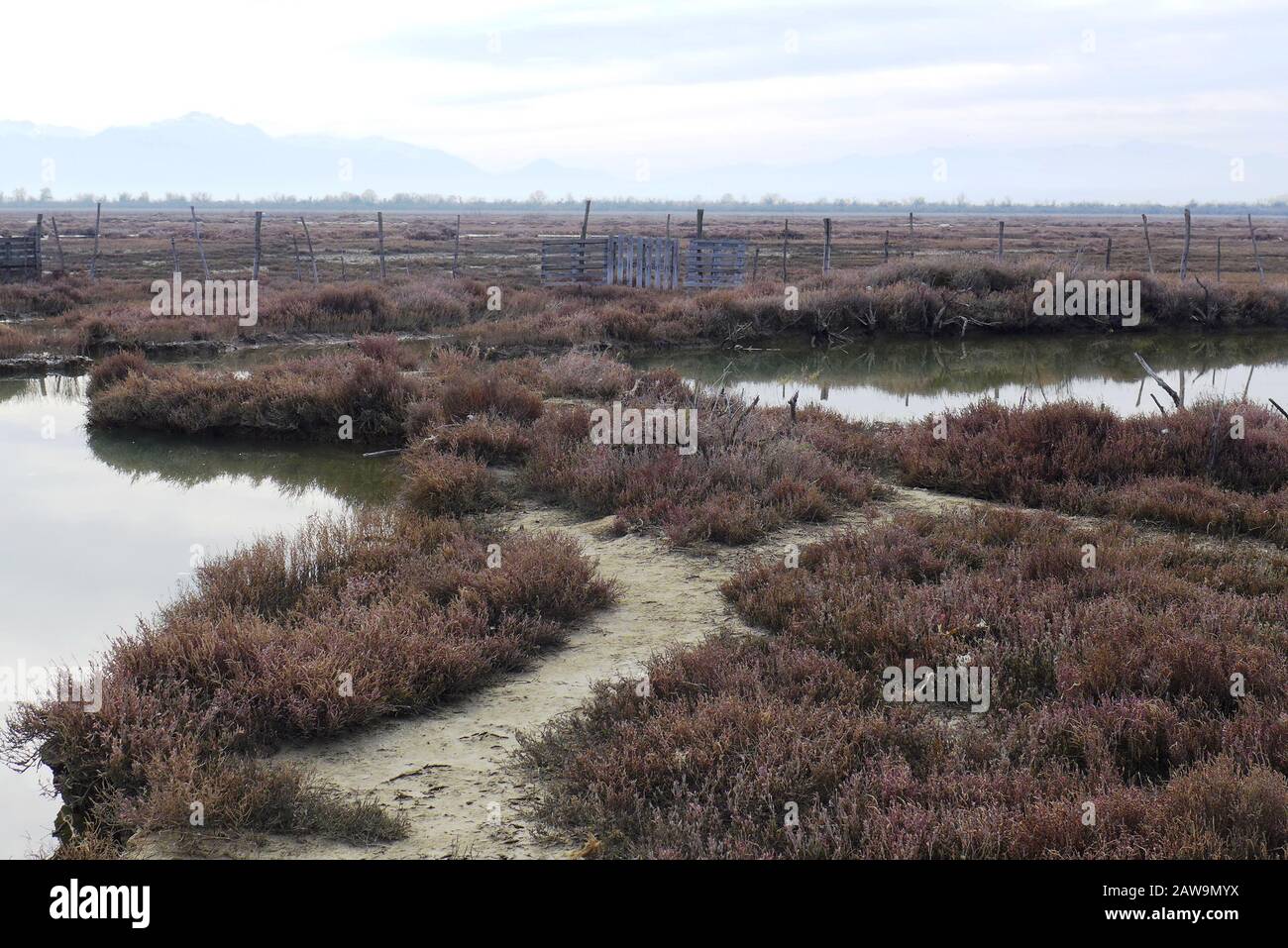 estuary of Axios river, lagoons and moors Stock Photo - Alamy