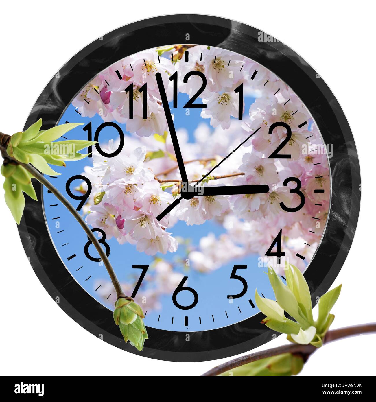 Daylight Saving Time (DST). Wall Clock going to summer time (+1). Turn ...