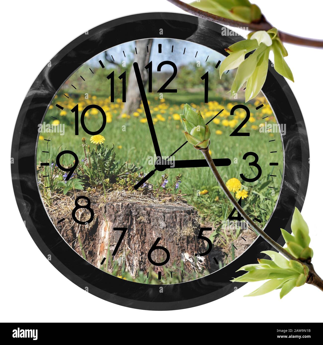 Daylight Saving Time (DST). Wall Clock going to summer time (+1). Turn ...