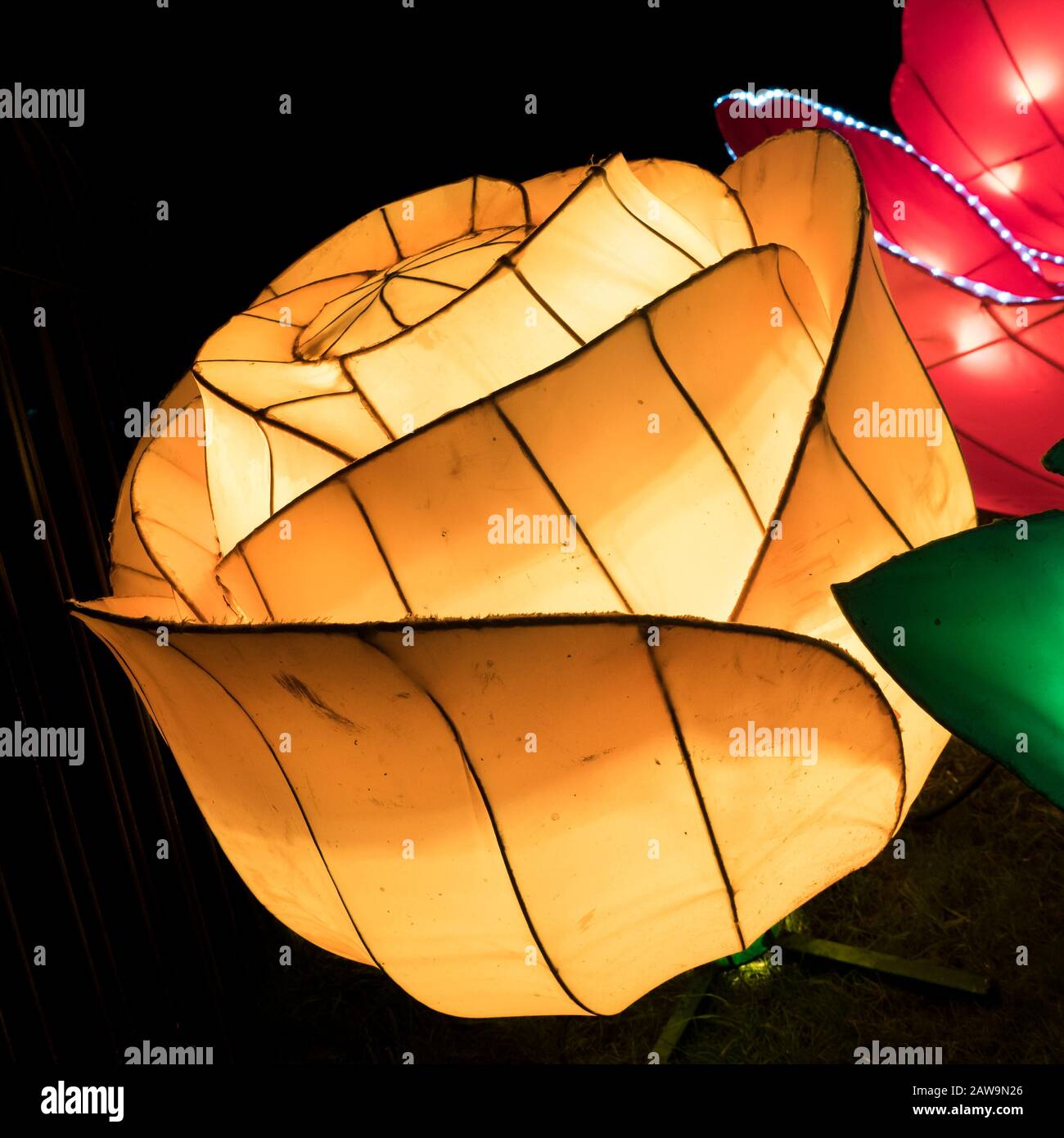 Rose night light hi-res stock photography and images - Alamy